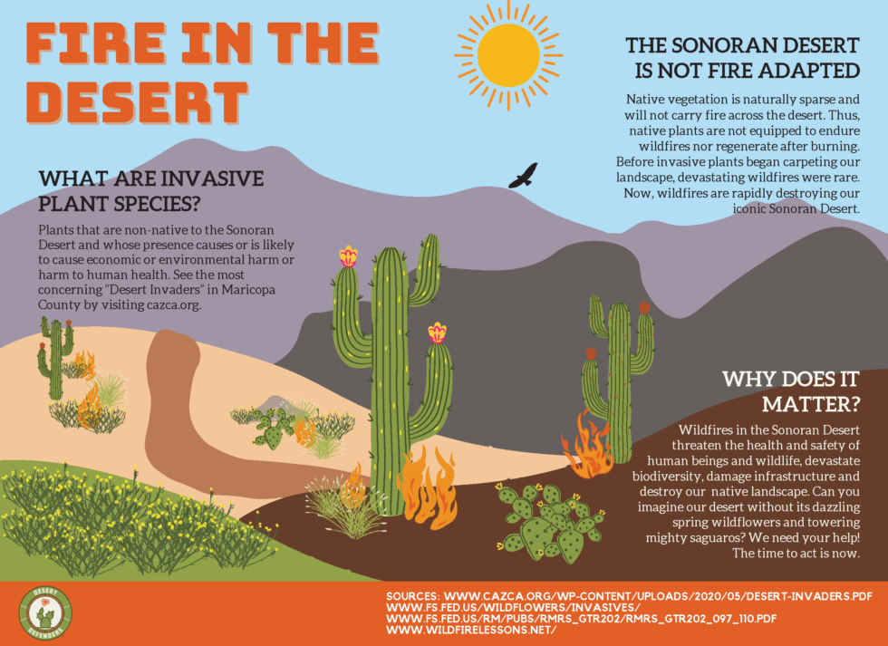 Desert Defenders - CAZCA