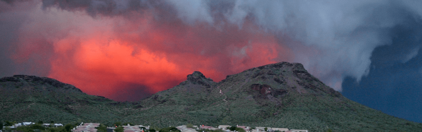 Sonoran Desert: From Fire Proof to Fire Prone - CAZCA