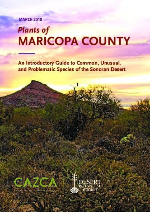Plants of Maricopa County- an Introductory Guide to Common, Unusual ...